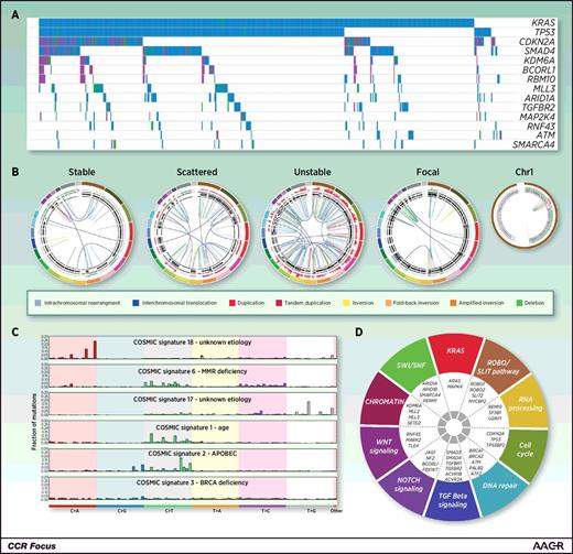 Pancreatic Cancer Genomes: Implications for Clinical Management and ...