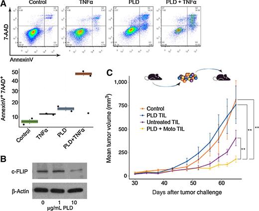 Integrative Development of a TLR8 Agonist for Ovarian Cancer ...