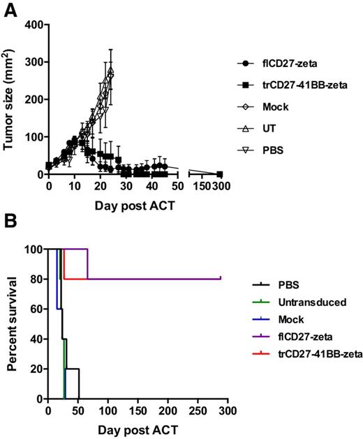 Preclinical Evaluation of Chimeric Antigen Receptors Targeting CD70 ...