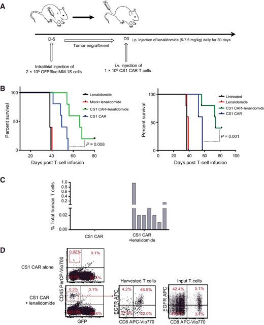 Lenalidomide Enhances the Function of CS1 Chimeric Antigen Receptor ...