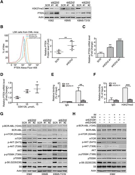 PTEN Is Fundamental for Elimination of Leukemia Stem Cells Mediated by ...