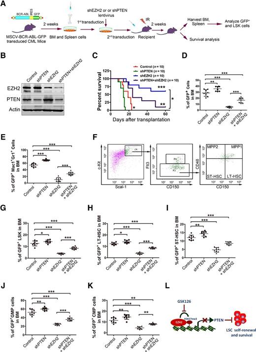 PTEN Is Fundamental for Elimination of Leukemia Stem Cells Mediated by ...