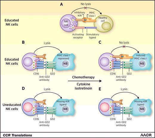 Genotyping Natural Killer Immune Checkpoints to Discover Biomarkers of ...