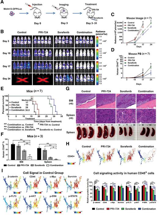 Disruption of Wnt/β-Catenin Exerts Antileukemia Activity and Synergizes ...