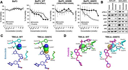 Foretinib Overcomes Entrectinib Resistance Associated with the NTRK1 ...