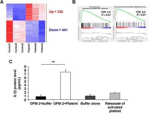 Platelets Enhance Multiple Myeloma Progression via IL-1β Upregulation ...