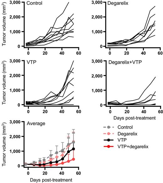 Androgen Deprivation Therapy Potentiates the Efficacy of Vascular ...