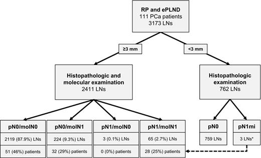 Molecular Lymph Node Status for Prognostic Stratification of Prostate ...