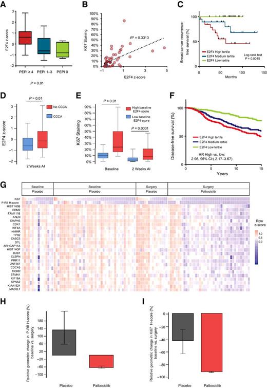 ER+ Breast Cancers Resistant to Prolonged Neoadjuvant Letrozole Exhibit ...