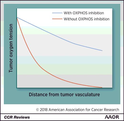 Oxidative Phosphorylation as an Emerging Target in Cancer Therapy ...