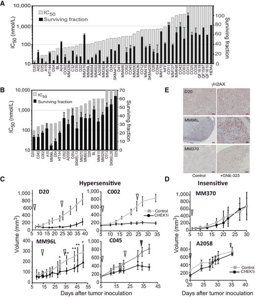 Endogenous Replication Stress Marks Melanomas Sensitive to CHEK1 ...