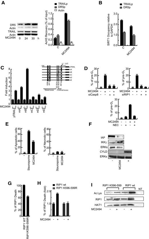 RIP1–HAT1–SIRT Complex Identification and Targeting in Treatment and ...