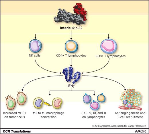 Revisiting Interleukin-12 as a Cancer Immunotherapy Agent | Clinical ...
