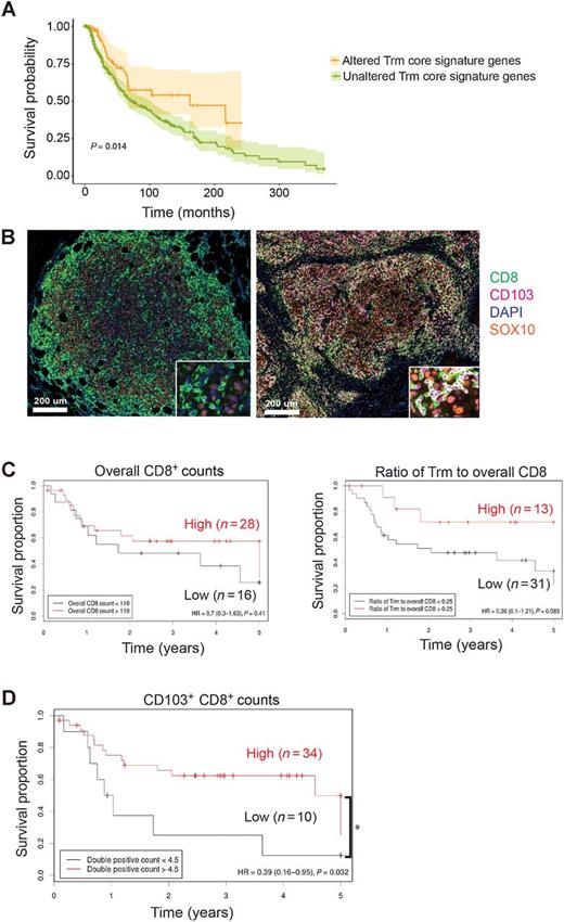 CD103+ Tumor-Resident CD8+ T Cells Are Associated with Improved ...