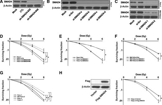 SMAD4 Gene Mutation Renders Pancreatic Cancer Resistance to ...