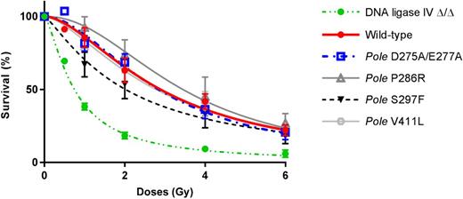 Adjuvant Treatment for POLE Proofreading Domain–Mutant Cancers ...