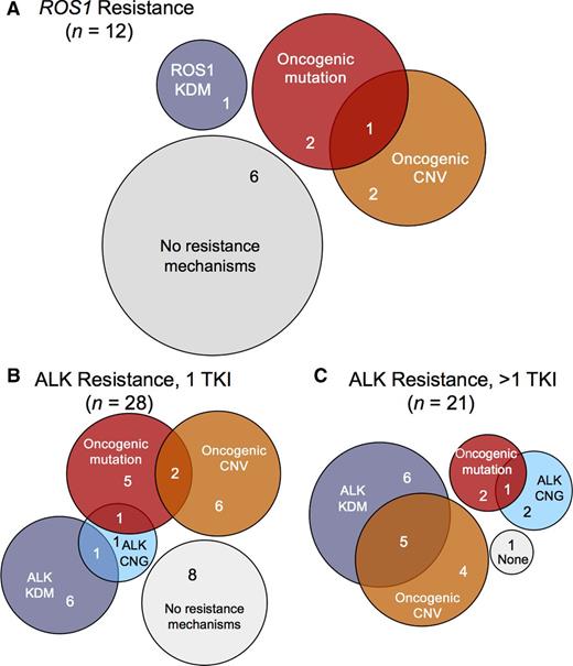 Resistance Mechanisms to Targeted Therapies in ROS1+ and ALK+ Non–small ...