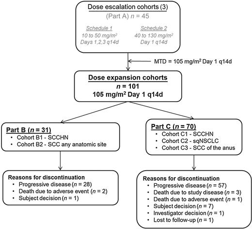 Evaluation of Prexasertib, a Checkpoint Kinase 1 Inhibitor, in a Phase ...