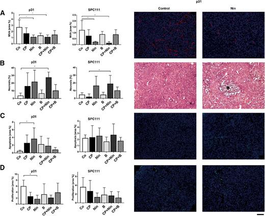 Nintedanib Is Active in Malignant Pleural Mesothelioma Cell Models and ...