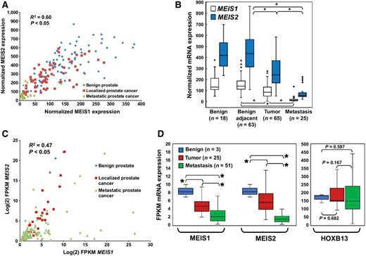 MEIS1 and MEIS2 Expression and Prostate Cancer Progression: A Role For ...