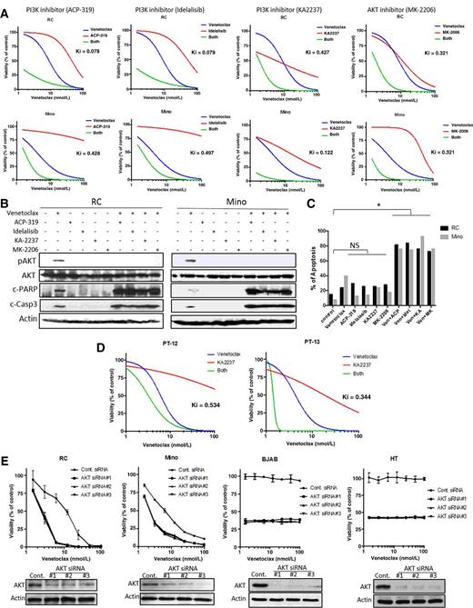Strategic Therapeutic Targeting to Overcome Venetoclax Resistance in Aggressive B-cell Lymphomas ...