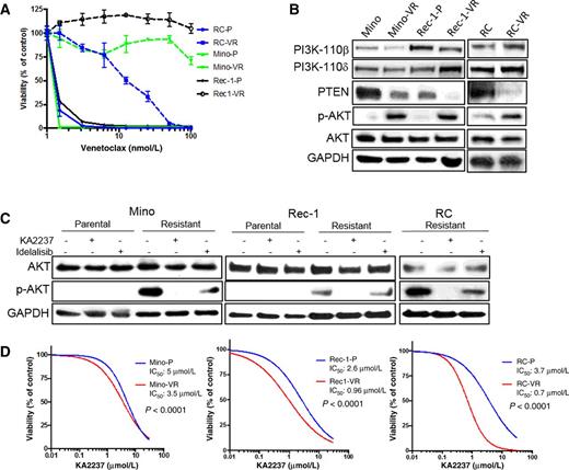 Strategic Therapeutic Targeting to Overcome Venetoclax Resistance in Aggressive B-cell Lymphomas ...