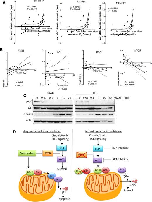 Strategic Therapeutic Targeting to Overcome Venetoclax Resistance in Aggressive B-cell Lymphomas ...