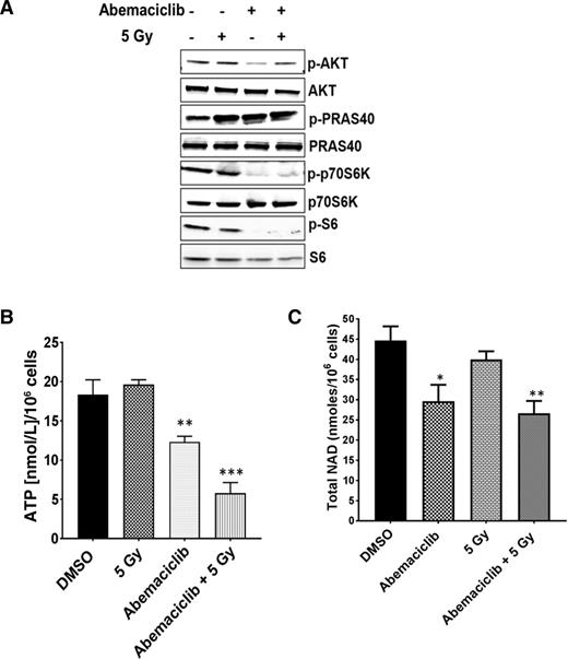 Abemaciclib, a Selective CDK4/6 Inhibitor, Enhances the ...