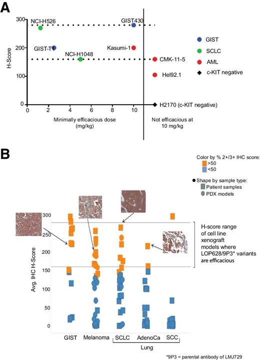 Preclinical Antitumor Activity of a Novel Anti–c-KIT Antibody–Drug ...