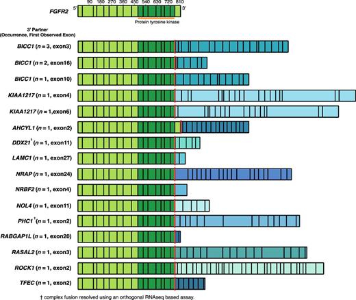 Comprehensive Molecular Profiling Of Intrahepatic And Extrahepatic Cholangiocarcinomas