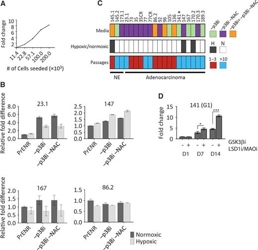 A PDX/Organoid Biobank of Advanced Prostate Cancers Captures Genomic ...