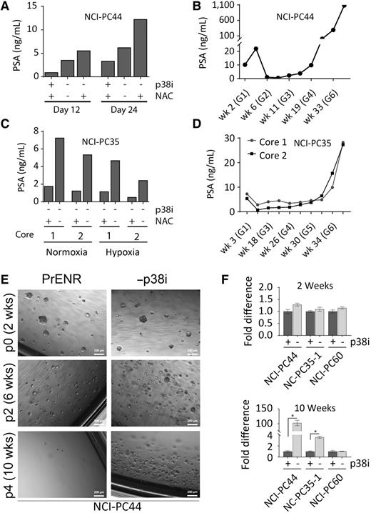A PDX/Organoid Biobank of Advanced Prostate Cancers Captures Genomic ...