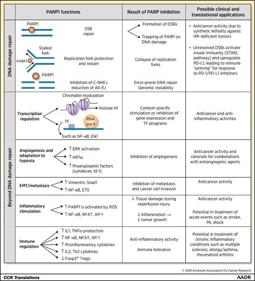 PARP Inhibitors in Ovarian Cancer: A Trailblazing and Transformative ...