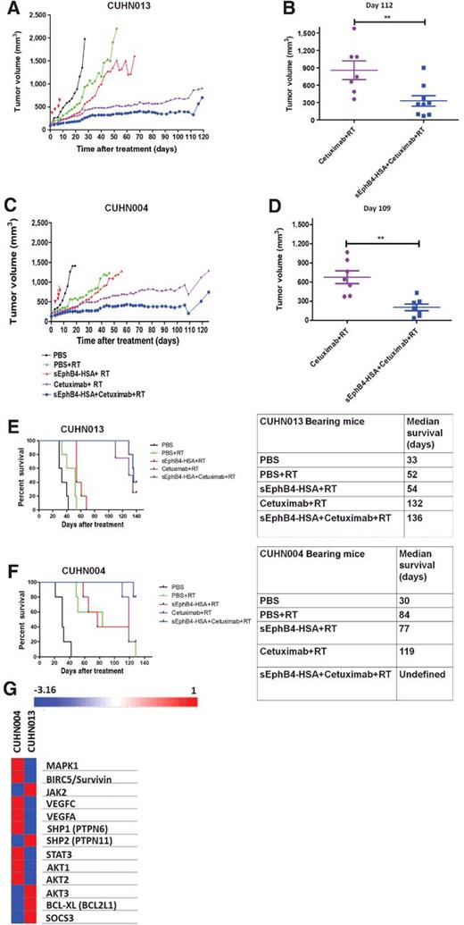Inhibition of EphB4–Ephrin-B2 Signaling Enhances Response to Cetuximab ...