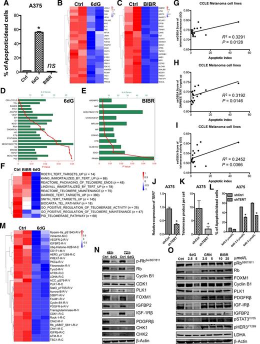 Induction of Telomere Dysfunction Prolongs Disease Control of Therapy ...