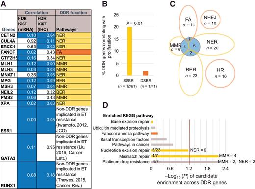 Comprehensive Profiling of DNA Repair Defects in Breast Cancer ...