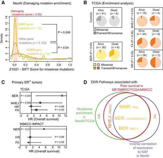Comprehensive Profiling of DNA Repair Defects in Breast Cancer ...