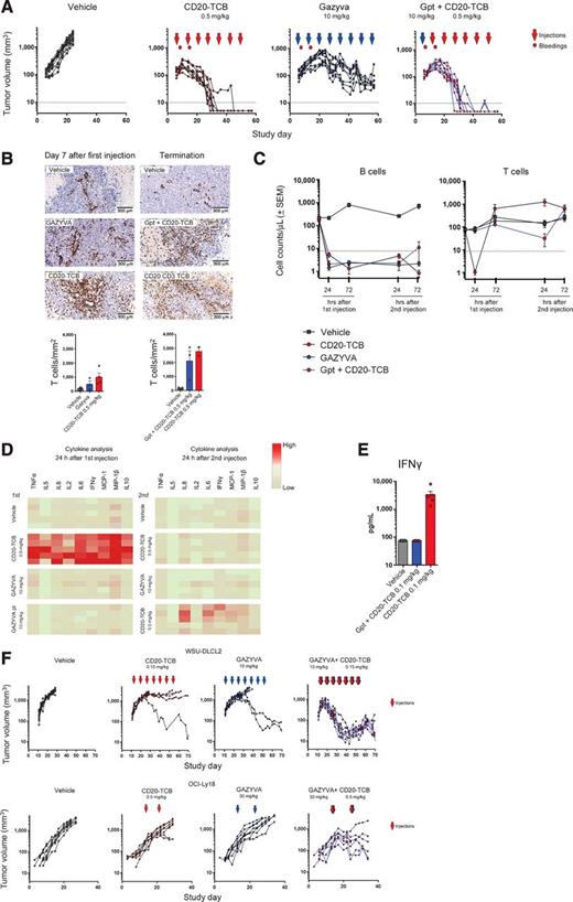 CD20-TCB with Obinutuzumab Pretreatment as Next-Generation Treatment of ...
