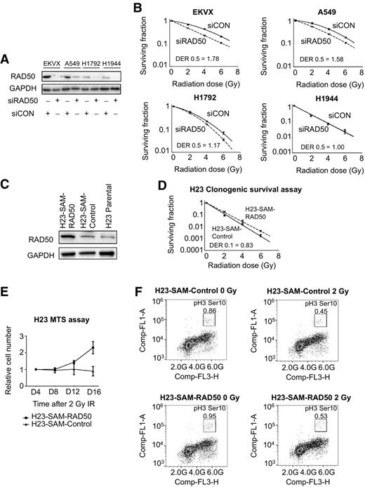 RAD50 Expression Is Associated with Poor Clinical Outcomes after ...
