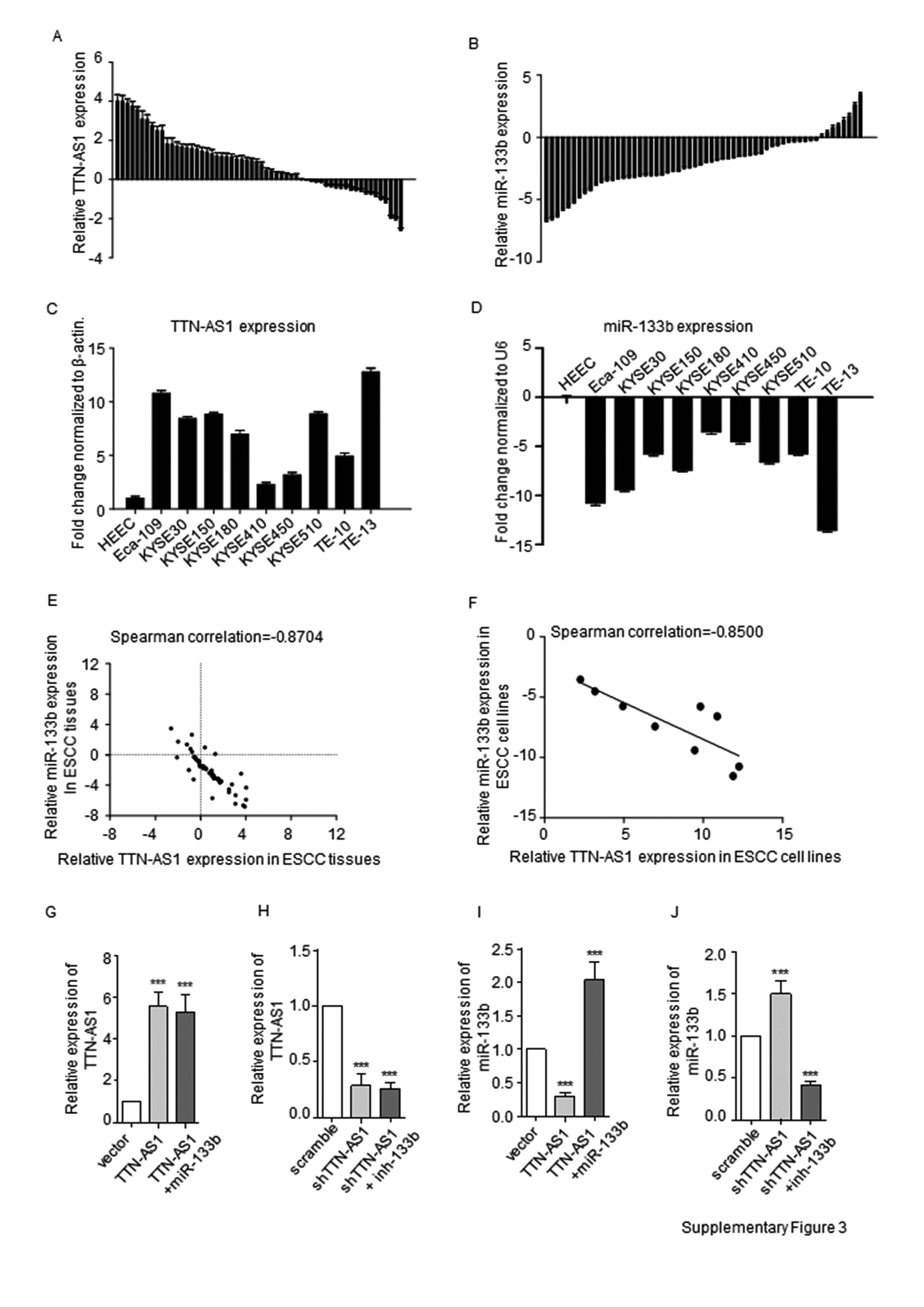 Functional Role of a Novel Long Noncoding RNA TTN-AS1 in Esophageal ...