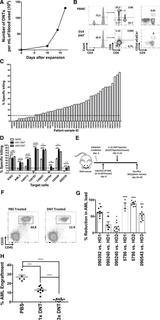 Allogeneic Human Double Negative T Cells as a Novel Immunotherapy for ...