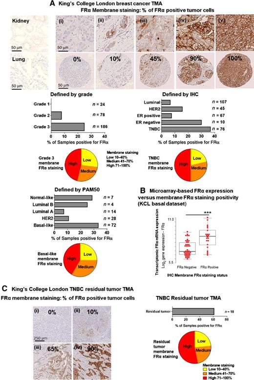 Anti-Folate Receptor Alpha–Directed Antibody Therapies Restrict the ...