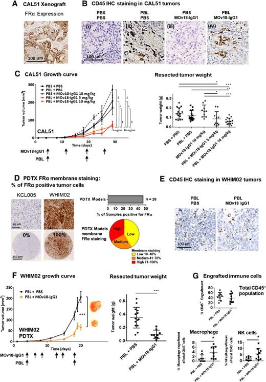 Anti-Folate Receptor Alpha–Directed Antibody Therapies Restrict the ...