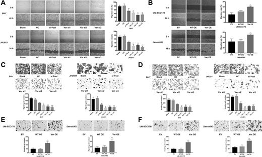 Characterization of Alternative Splicing Events in HPV-Negative Head ...