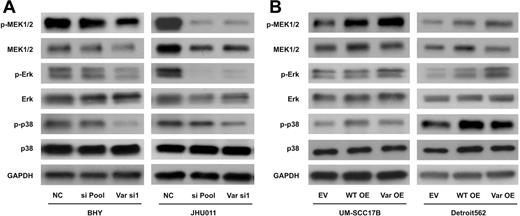 Characterization of Alternative Splicing Events in HPV-Negative Head ...