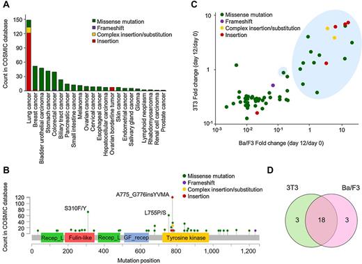 High-Throughput Functional Evaluation of Variants of Unknown Significance in ERBB2 | Clinical ...
