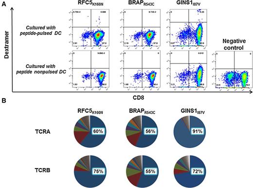 Induction of Neoantigen-Specific Cytotoxic T Cells and Construction of ...