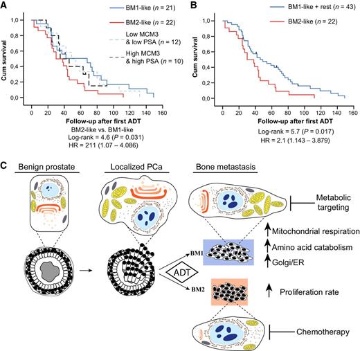 The Proteome of Prostate Cancer Bone Metastasis Reveals Heterogeneity ...