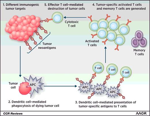 The Integration of Radiotherapy with Immunotherapy for the Treatment of ...