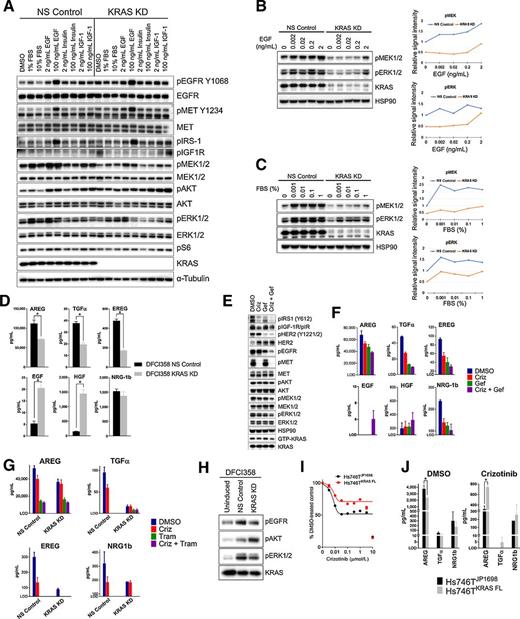 Amplification of Wild-type KRAS Imparts Resistance to Crizotinib in MET ...
